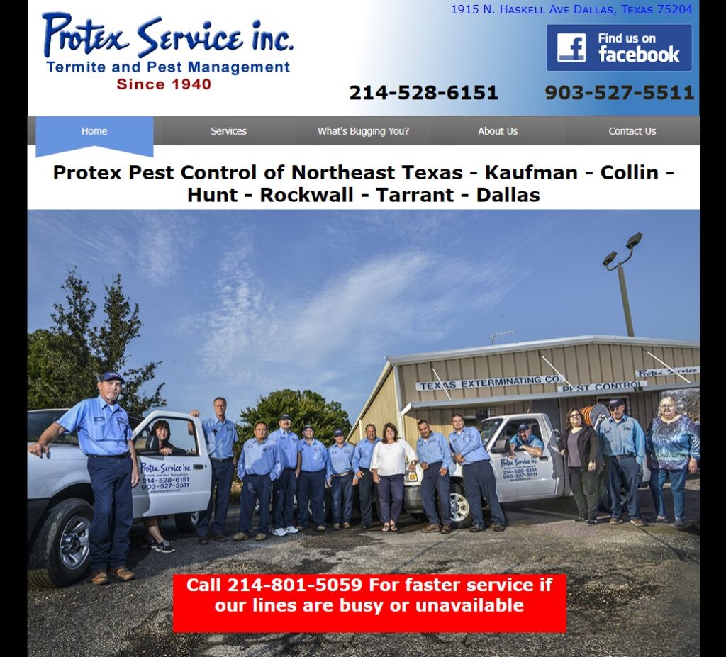 The 9 Best Options for Pest Control in Dallas [2026 ]