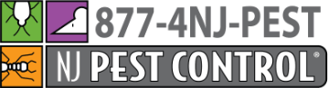 The 6 Best Options for Pest Control in New Jersey [2026]