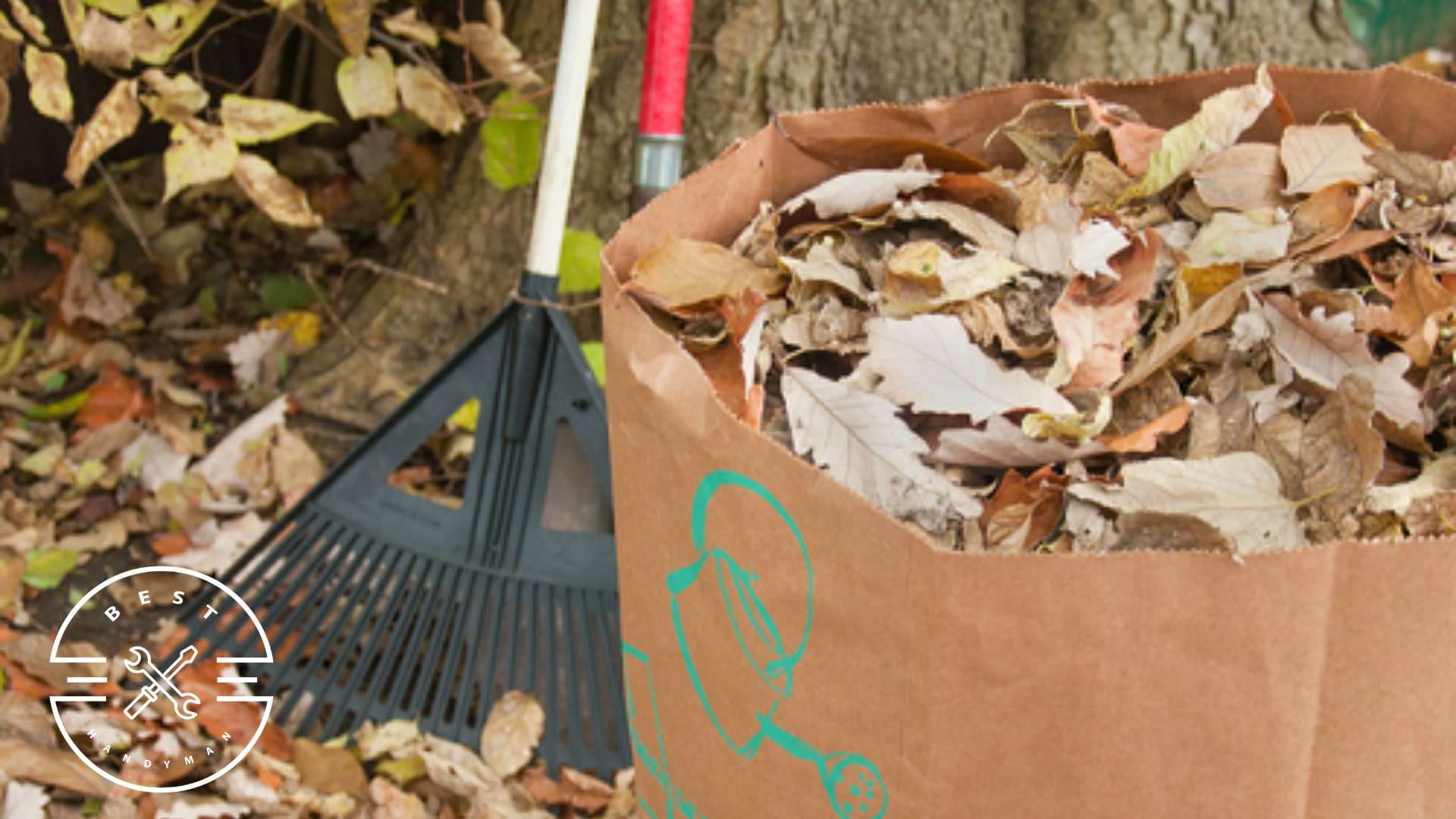 A Complete Guide to Leaf Removal Cost [2026]